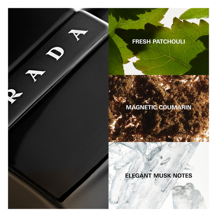 Prada Luna Rossa Black Eau de Parfum Spray – Escentual